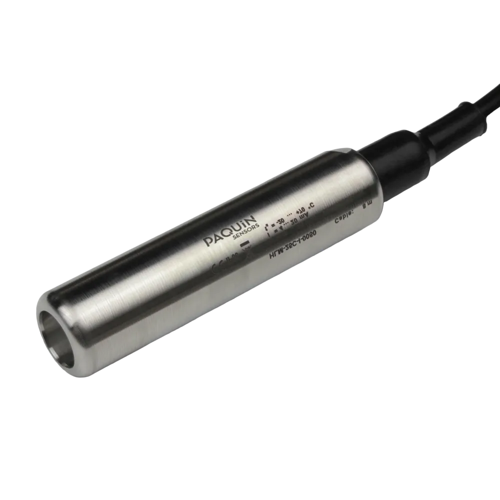 P109 Submersible Level Sensor up to 128' of Depth
